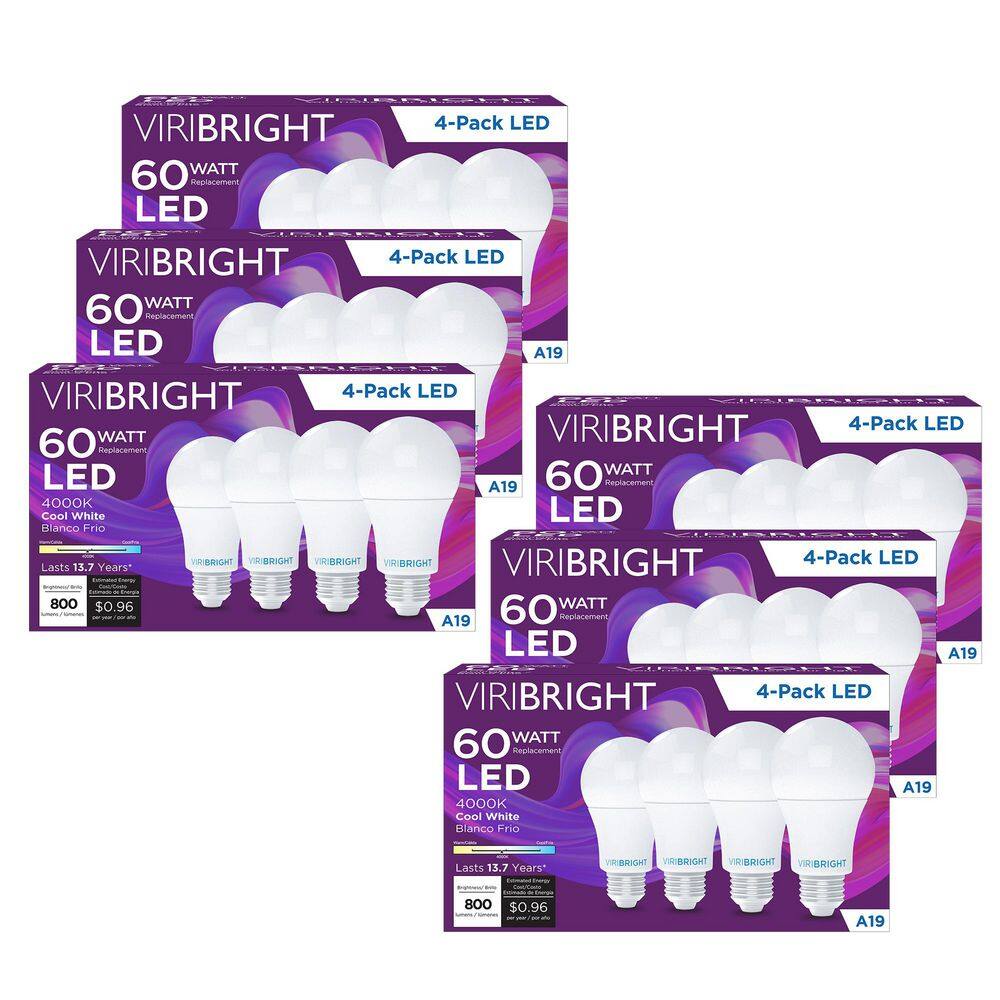 Viribright 60-Watt EQ A19 E26 General Purpose LED ENERGY STAR Light Bulb (24-Pack) 640339-24 ...