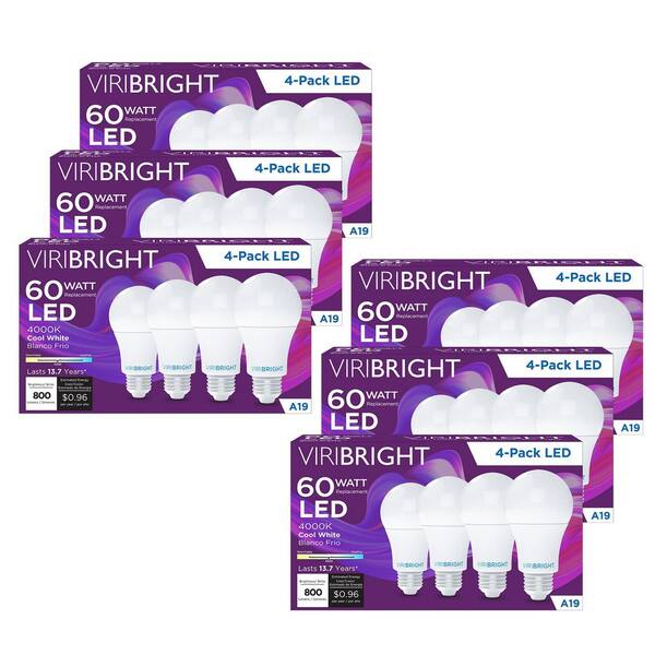 Viribright 60-Watt EQ A19 E26 General Purpose LED ENERGY STAR Light Bulb (24-Pack) 640339-24 ...