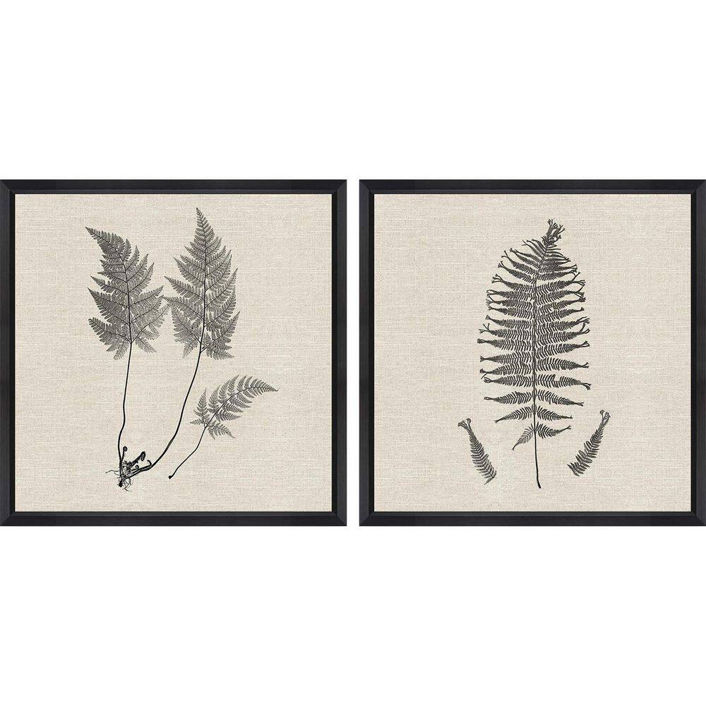 Paragon Modern Ferns Modern Ferns I by Langdon 2-Piece Framed Travel ...