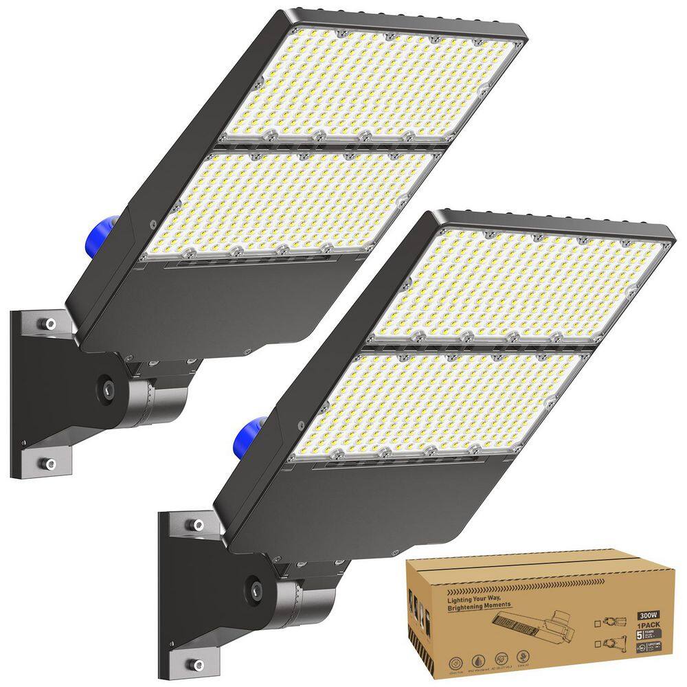 Adewalk 45000 Lumens 300-Watt Equivalent Integrated LED Black Parking ...