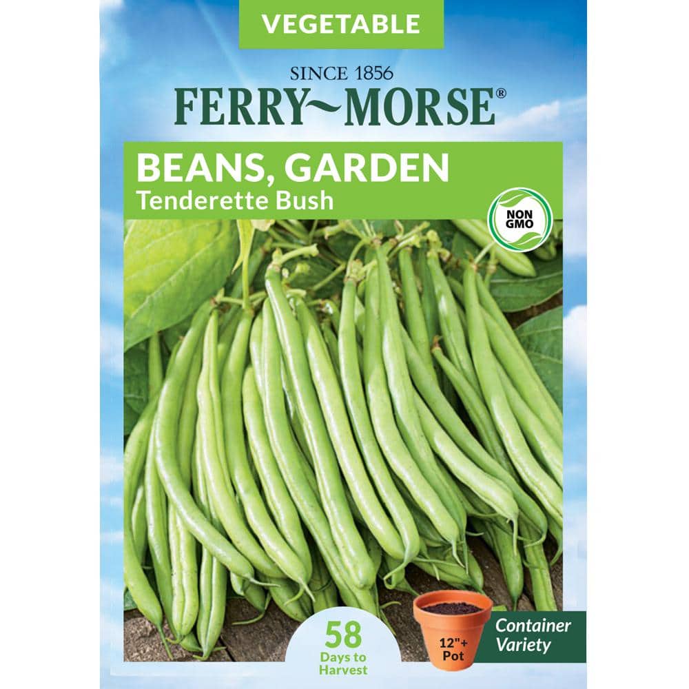 Ferry-Morse Bean Tenderette Bush Fruit Seed 1762 - The Home Depot