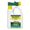 Ironite Plus 32 oz. Liquid Lawn and Garden Fertilizer 100525937 - The ...