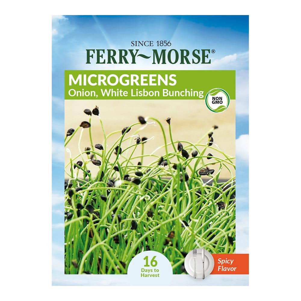 Reviews for Ferry-Morse Onion White Lisbon Bunching Micro-greens ...