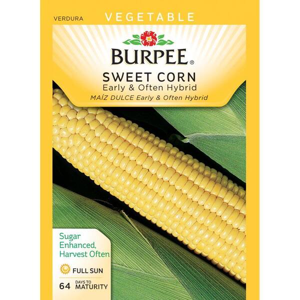 Burpee Sweet Corn Early and Often Yellow Hybrid Seed 63289 - The Home Depot