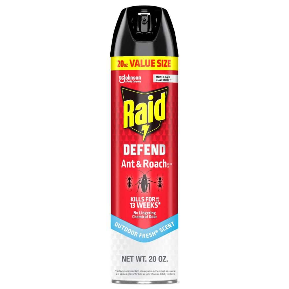 Raid Defend Ant and Roach Insect Killer, Indoor Insecticide, Residual ...