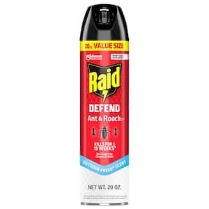 Reviews for Raid Wasp and Hornet Killer, Stinging Bug Insecticide for ...