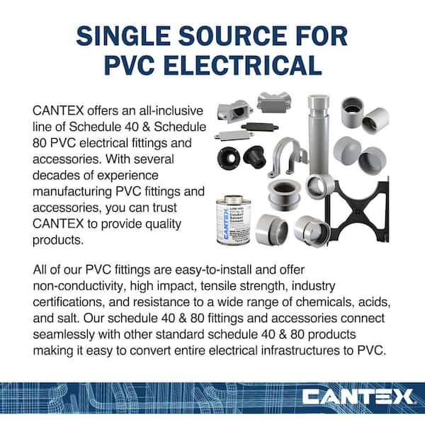 Cantex 1/2 in. 2-Hole PVC Clamp / Strap, For use with Schedule 40 and ...