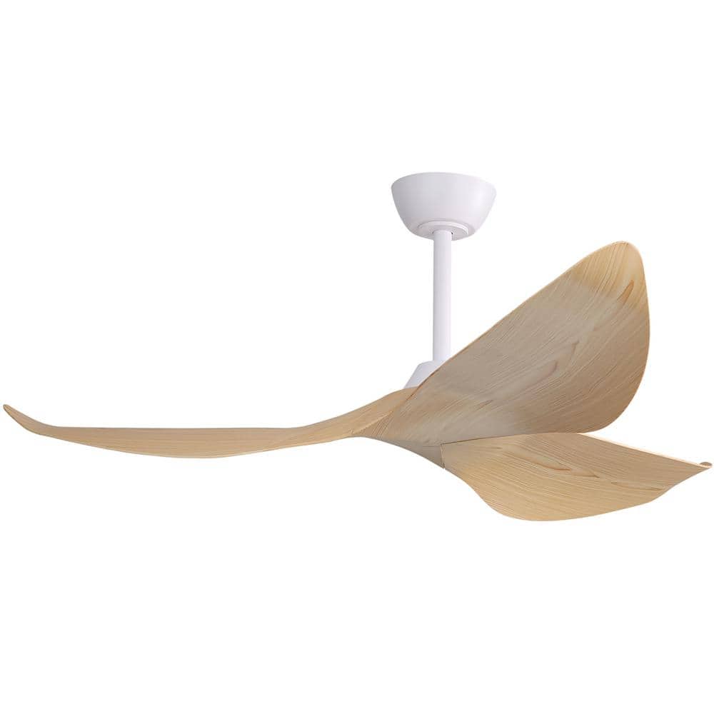 CACI Mall 52 in. Indoor/Outdoor White Ceiling Fan without Light for ...