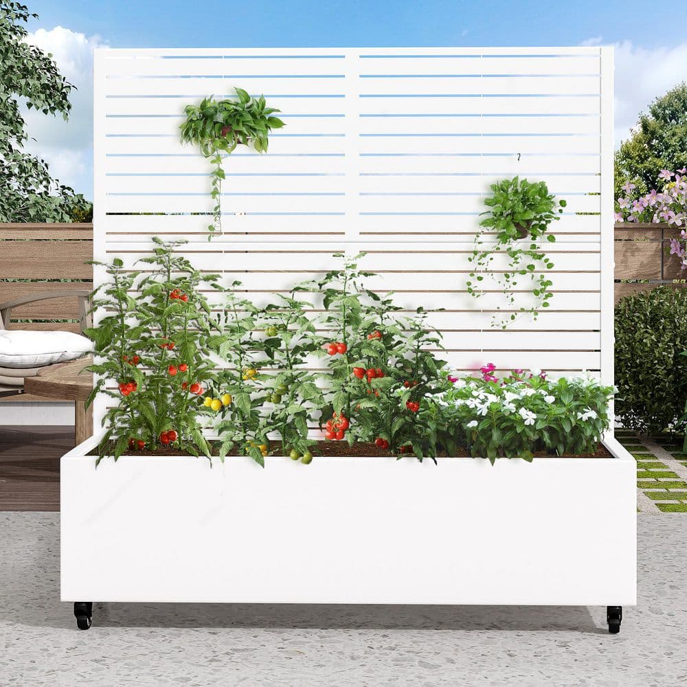 PexFix 47 in. H x 47 in. W Rectanglar White Outdoor Metal Privacy ...