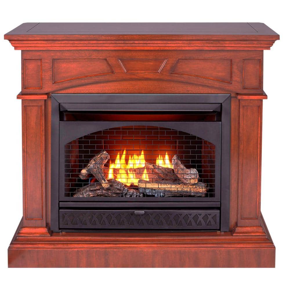 ProCom Heating 26 000 BTU Dual Fuel Vent Free Gas Fireplace System T ...