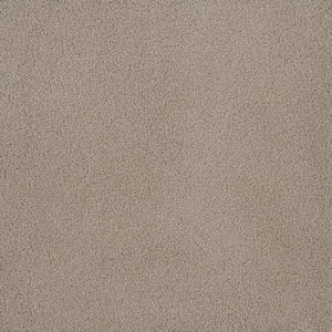 Home Decorators Collection 8 in. x 8 in. Texture Carpet Sample - First ...