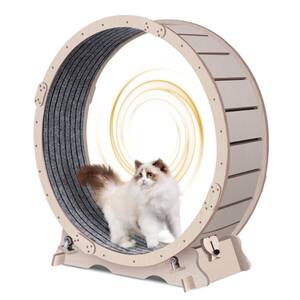 Cat Exercise Wheel Running Spinning Scratching Fun Cat Treadmill ...