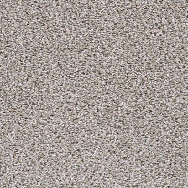 Home Decorators Collection 8 in. x 8 in. Texture Carpet Sample ...