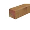 6 in. x 6 in. x 10 ft. Western Red Cedar Timber 505945 - The Home Depot