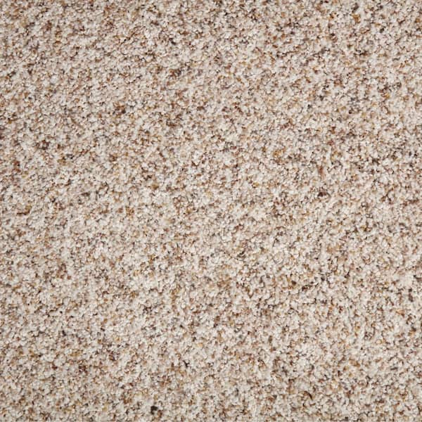 Lifeproof with Petproof Technology 8 in. x 8 in. Texture Carpet Sample ...