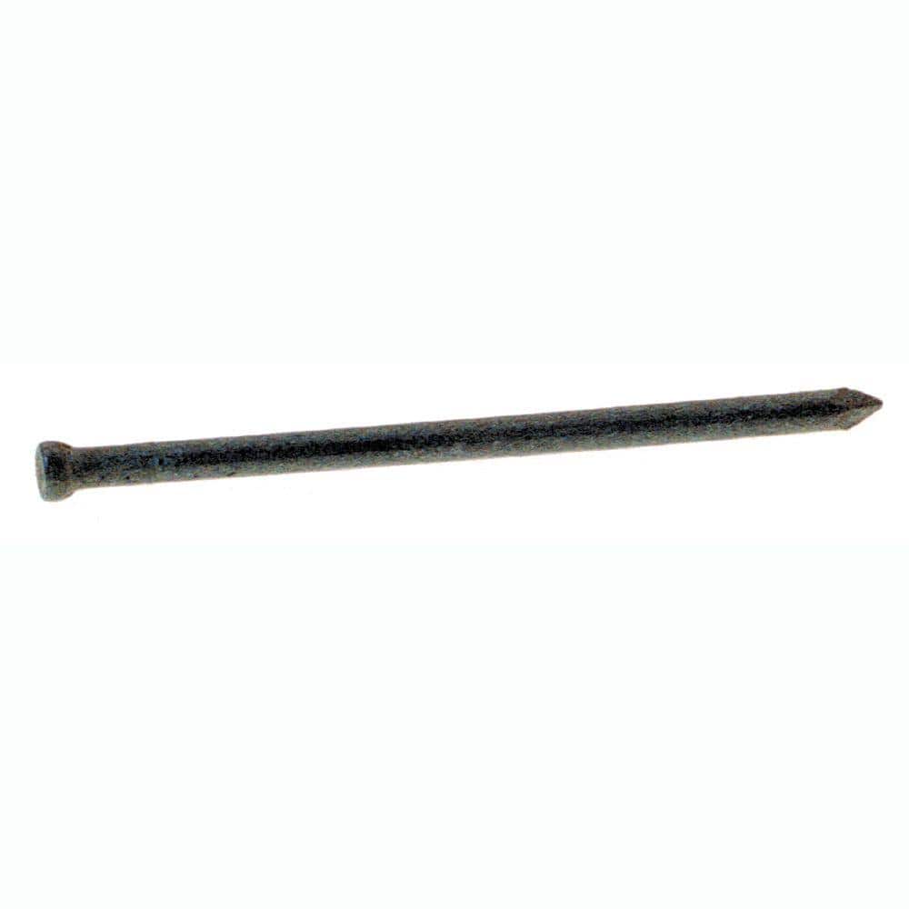 PrimeSource #15 x 1-1/2 in. 4-Penny Hot Galvanized Steel Finish Nail (1 ...