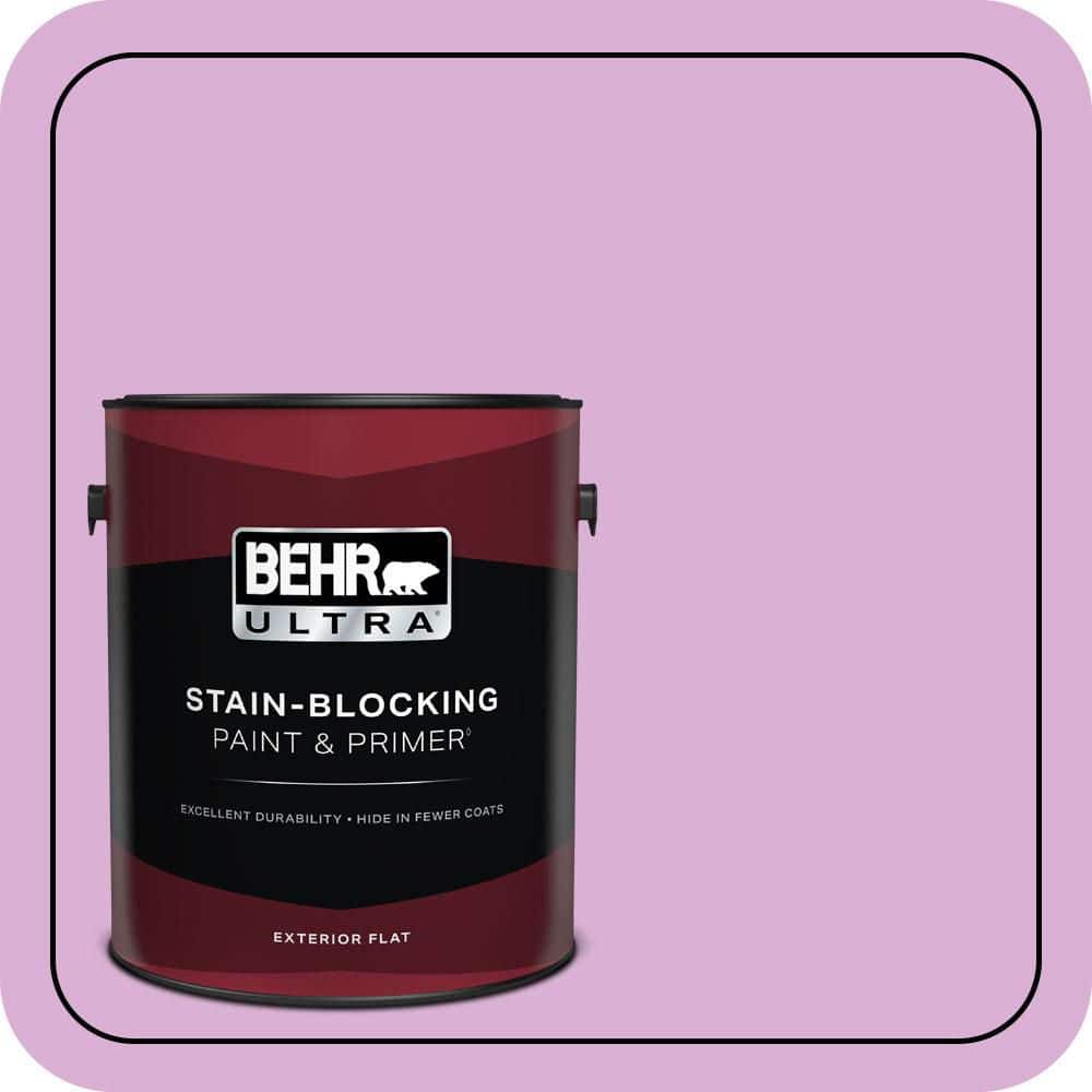BEHR ULTRA 1 gal. #P110-3 BFF Flat Exterior Paint & Primer 485001 - The ...