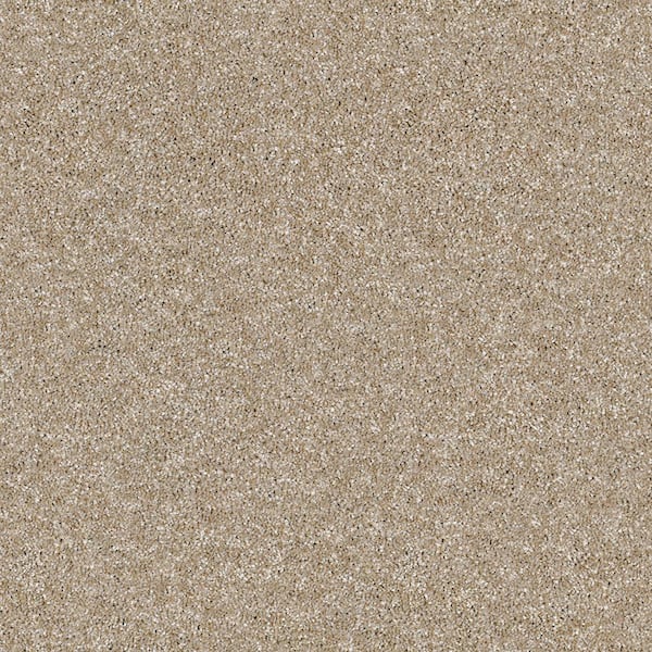 Home Decorators Collection 8 in. x 8 in. Texture Carpet Sample ...