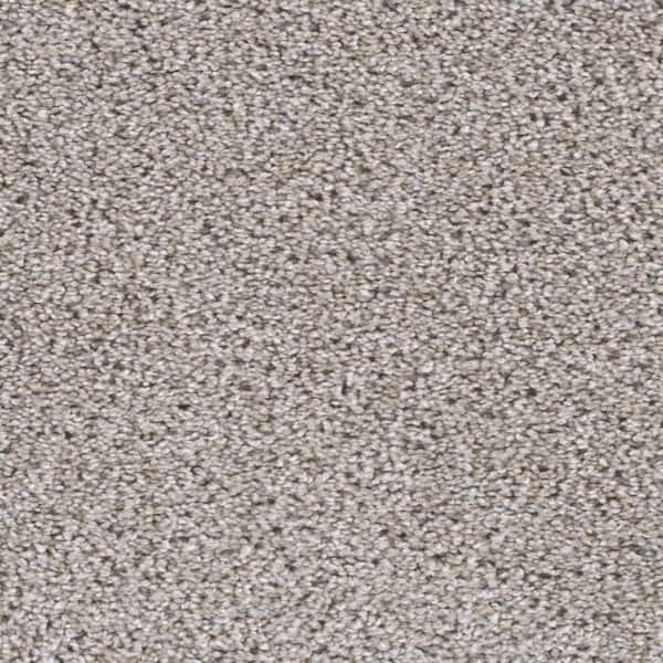 Reviews for Home Decorators Collection Delight II - Elated - Beige 65 ...