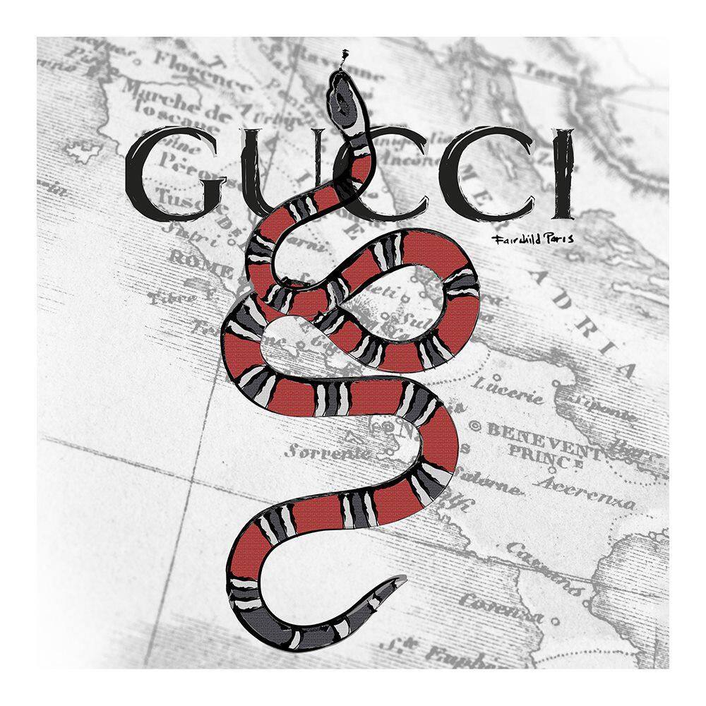 VENICE BEACH Collections Fashion SNAKE by Fairchild Paris 1 Piece Unframed Canvas Drawing Print ...