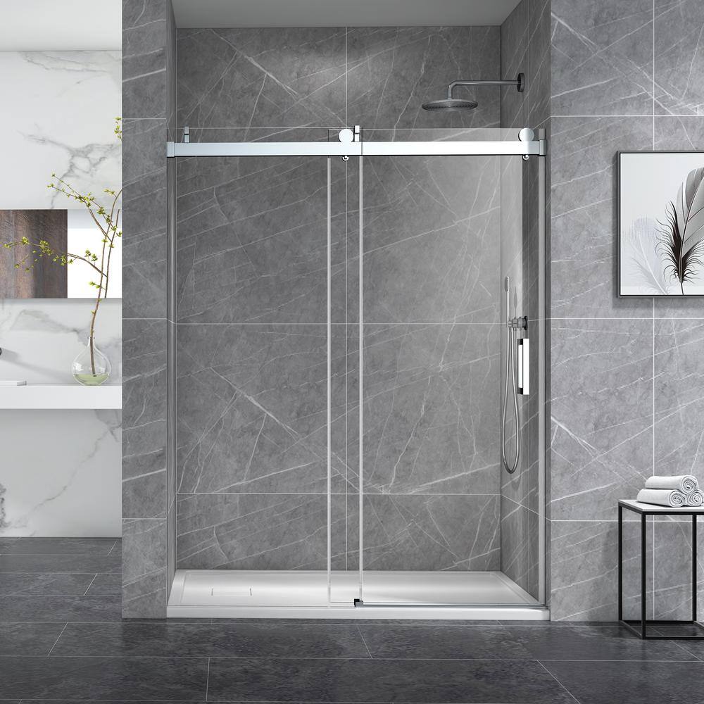 Staykiwi 60 in. W x 76 in. H Single Sliding Frameless Shower Door in ...