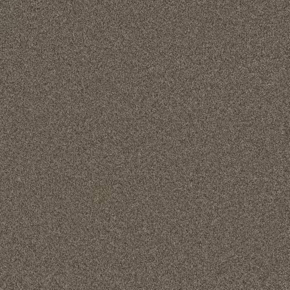 Home Decorators Collection 8 in. x 8 in. Texture Carpet Sample ...