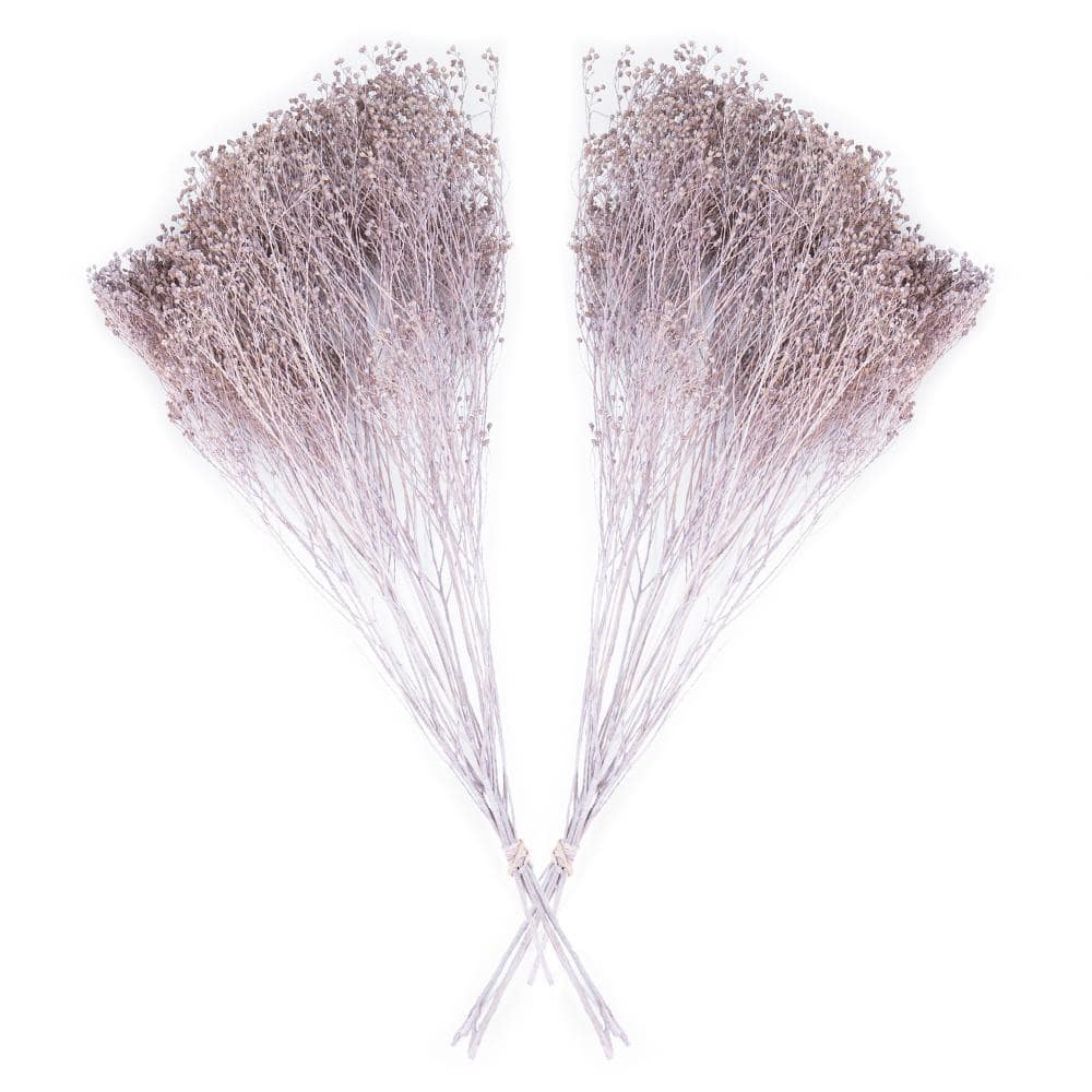 Bindle & Brass 24 in. Orchid Bloom Dried Natural Broom Bloom (2-Pack ...