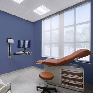 Interior Paint - Blue - Paint Colors - The Home Depot