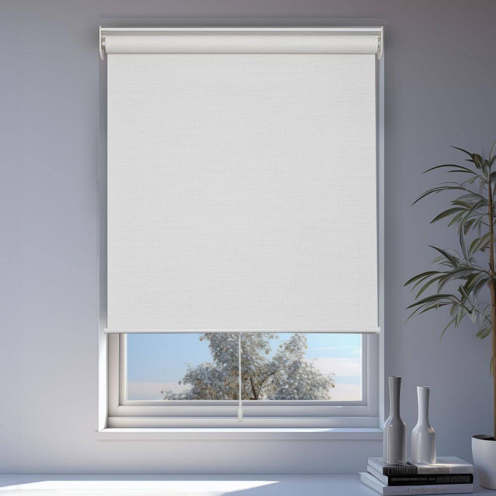 Reviews for Chicology Cordless Light Filtering Window Roller Shade ...