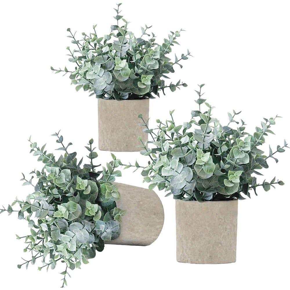 6 in Whitewash Gray Indoor Artificial Eucalyptus Shrub Greenery Small ...