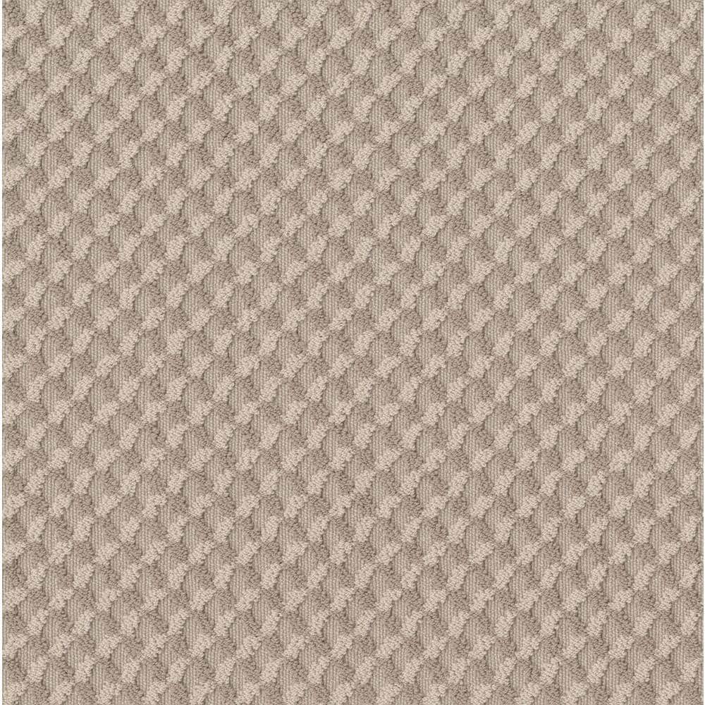 Shaw 8 in. x 8 in. Pattern Carpet Sample - Exquisite - Color Ecru Lace ...