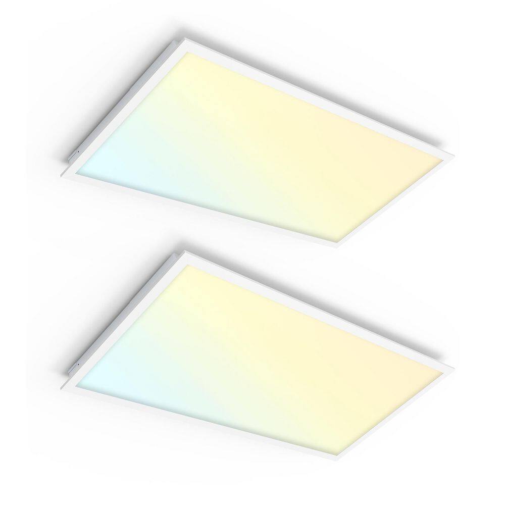 RUN BISON 2-Pack 2 ft. x 4 ft. 5500 Lumens White Integrated LED ...
