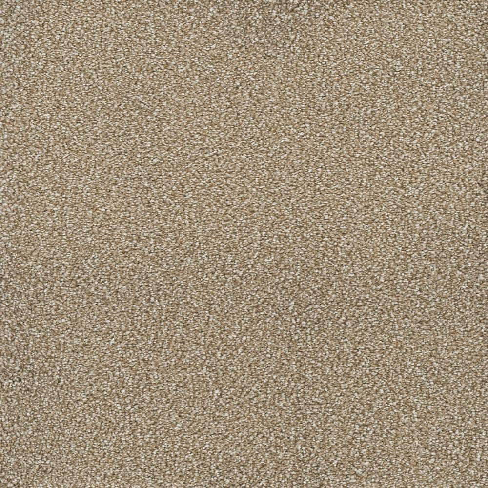 Home Decorators Collection 8 in. x 8 in. Texture Carpet Sample ...