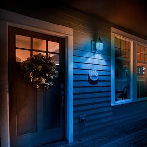 Blue - LED Light Bulbs - The Home Depot