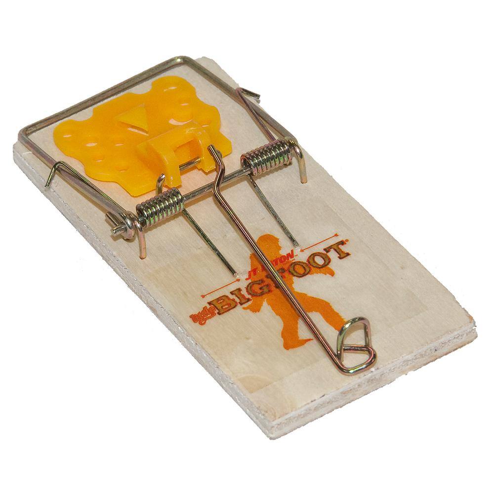 JT Eaton Little Big Foot Mouse Size Snap Traps with Expanded Trigger (4 ...