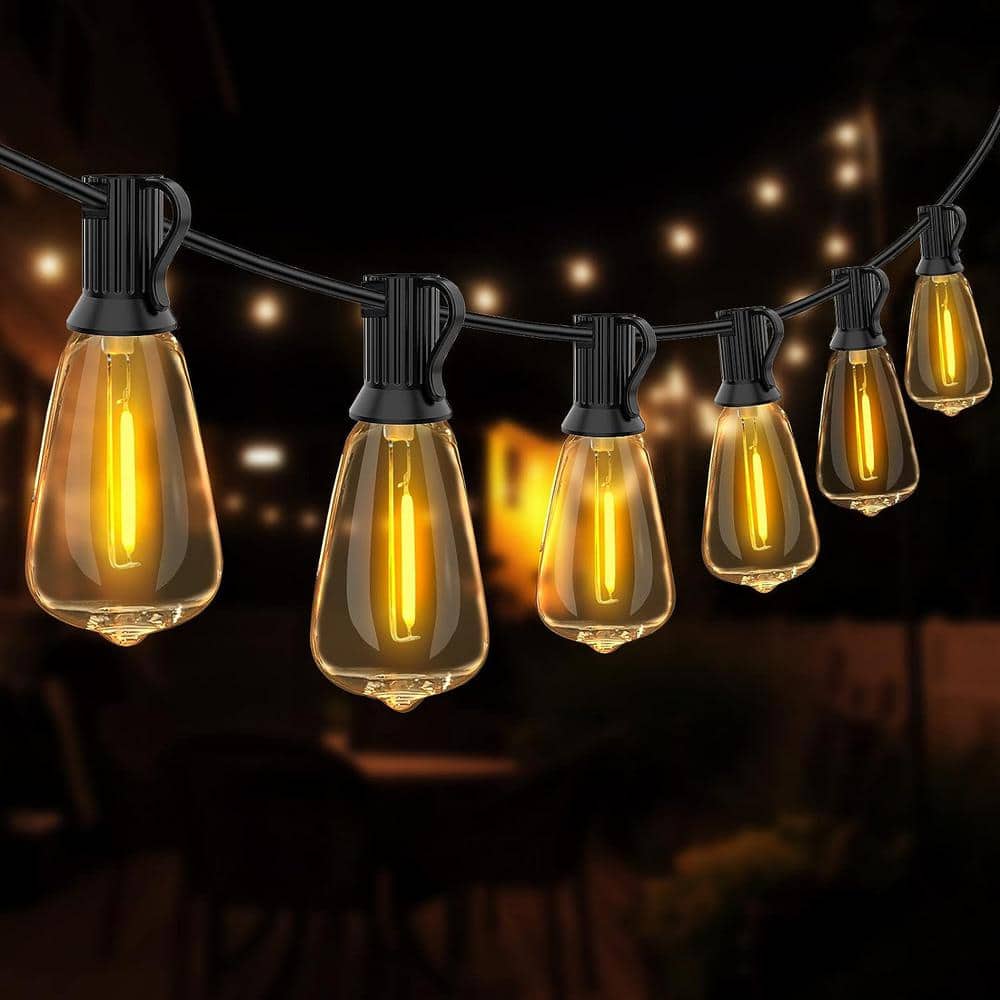WYZM 25-Light 50 ft. Indoor/Outdoor String Light with E12 LED Bulbs ...