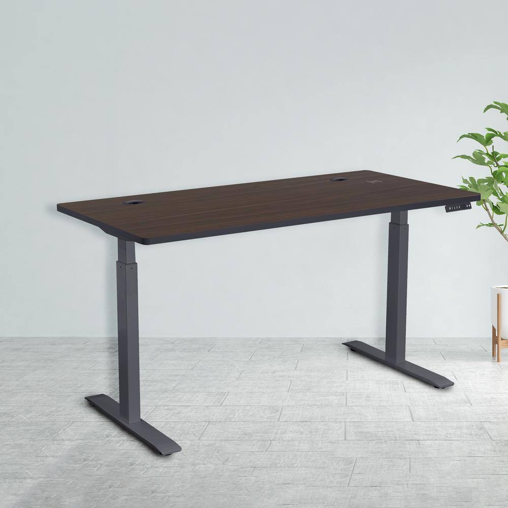 Motionwise 60 in. Electric American Walnut Adjustable Height Standing ...