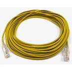 Micro Connectors, Inc 1 ft. 28AWG Ultra Slim CAT 6 Patch Cables, Blue ...