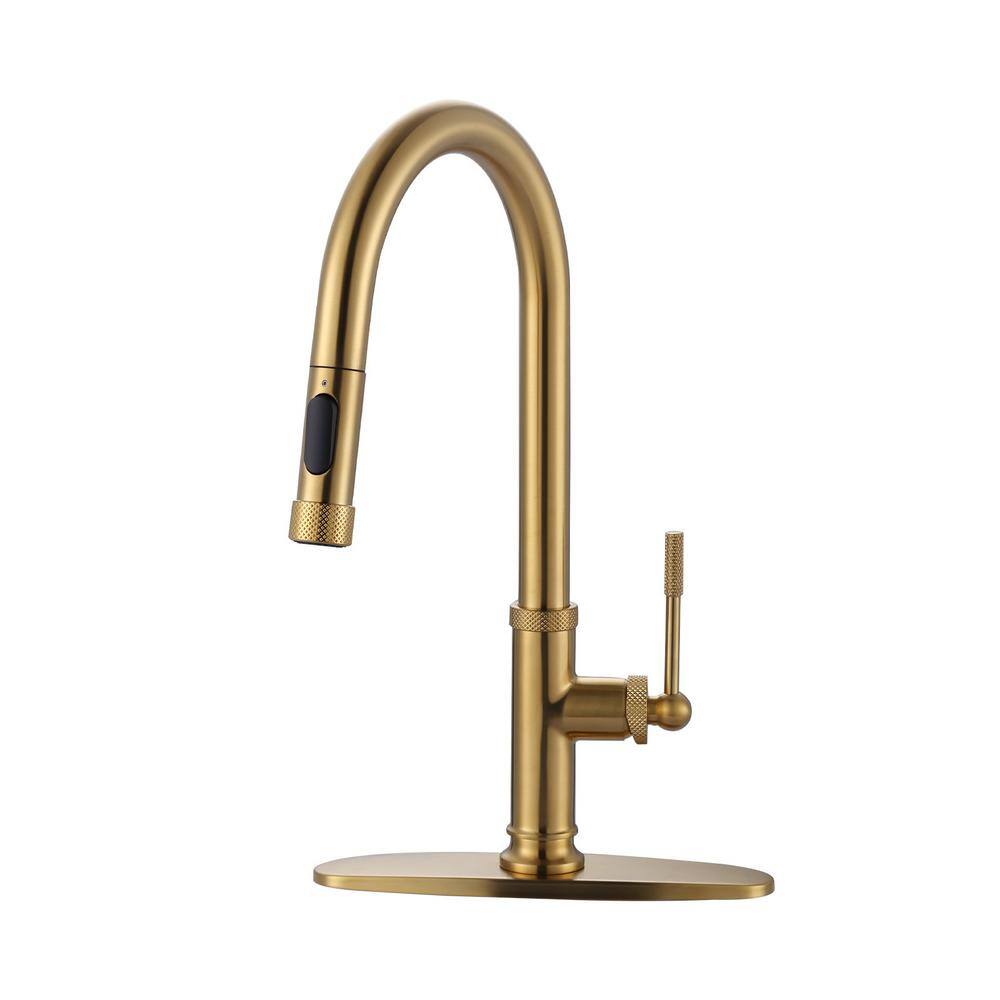 ARCORA Single Handle Pull Down Sprayer Kitchen Faucet with Spray, Pull ...