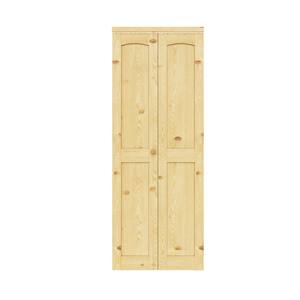 ARK DESIGN 36 in. x 80 in. Arch Panel 2-Lite Solid Core Unfinished Pine ...