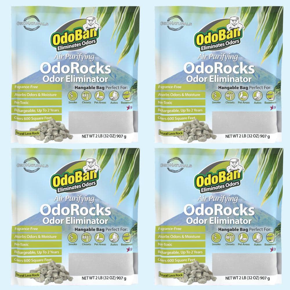 OdoBan 32 oz. OdoRocks Natural Volcanic Rock Odor Eliminator, Unscented ...