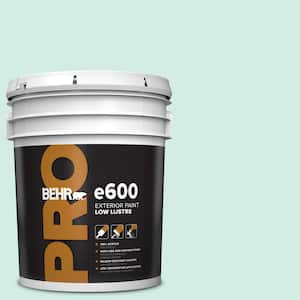 BEHR PRO 1 gal. #490C-2 Adriatic Mist Low Luster Exterior Paint PR62001 ...
