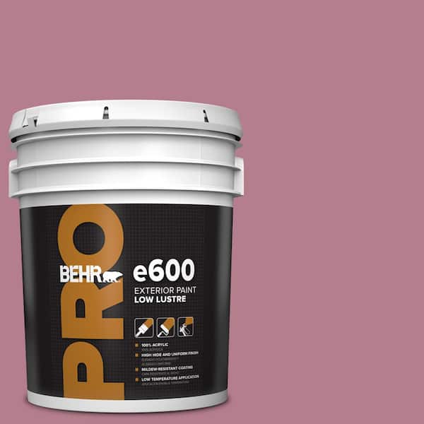 BEHR PRO 5 Gal. #100D-4 Degas Pink Low Luster Exterior Paint PR62305 ...