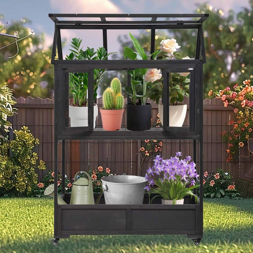 SUNRINX 47.2 in. W x 23.6 in. D x 69.3 in. H Fir Wood Black Greenhouse ...