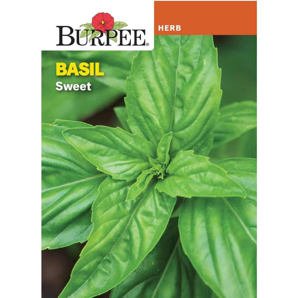 Burpee Garden Herb Basil Sweet Herb Seed 56764 - The Home Depot
