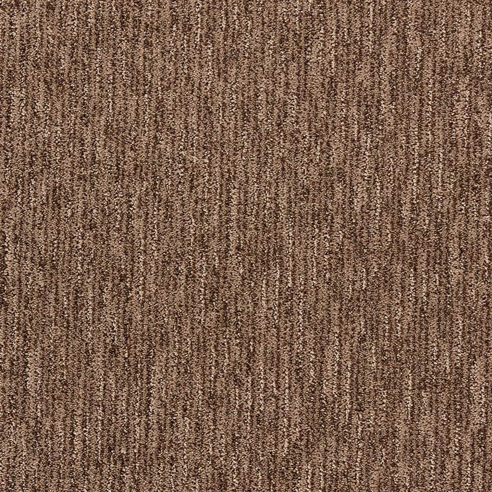 Home Decorators Collection Smooth Summer Dazzling Brown 37 oz Polyester ...