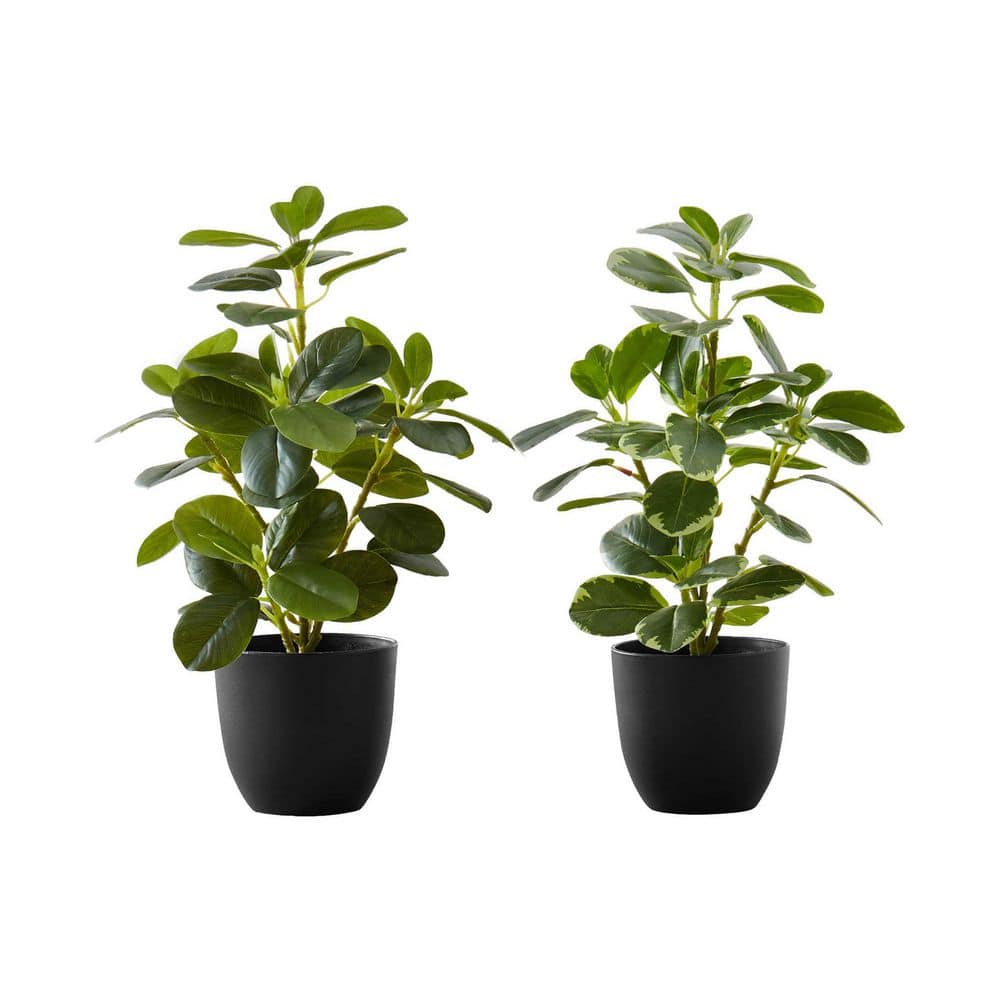 14 in. Artificial Green Indoor Ficus Plant (Set of 2) with 56 Lifelike ...