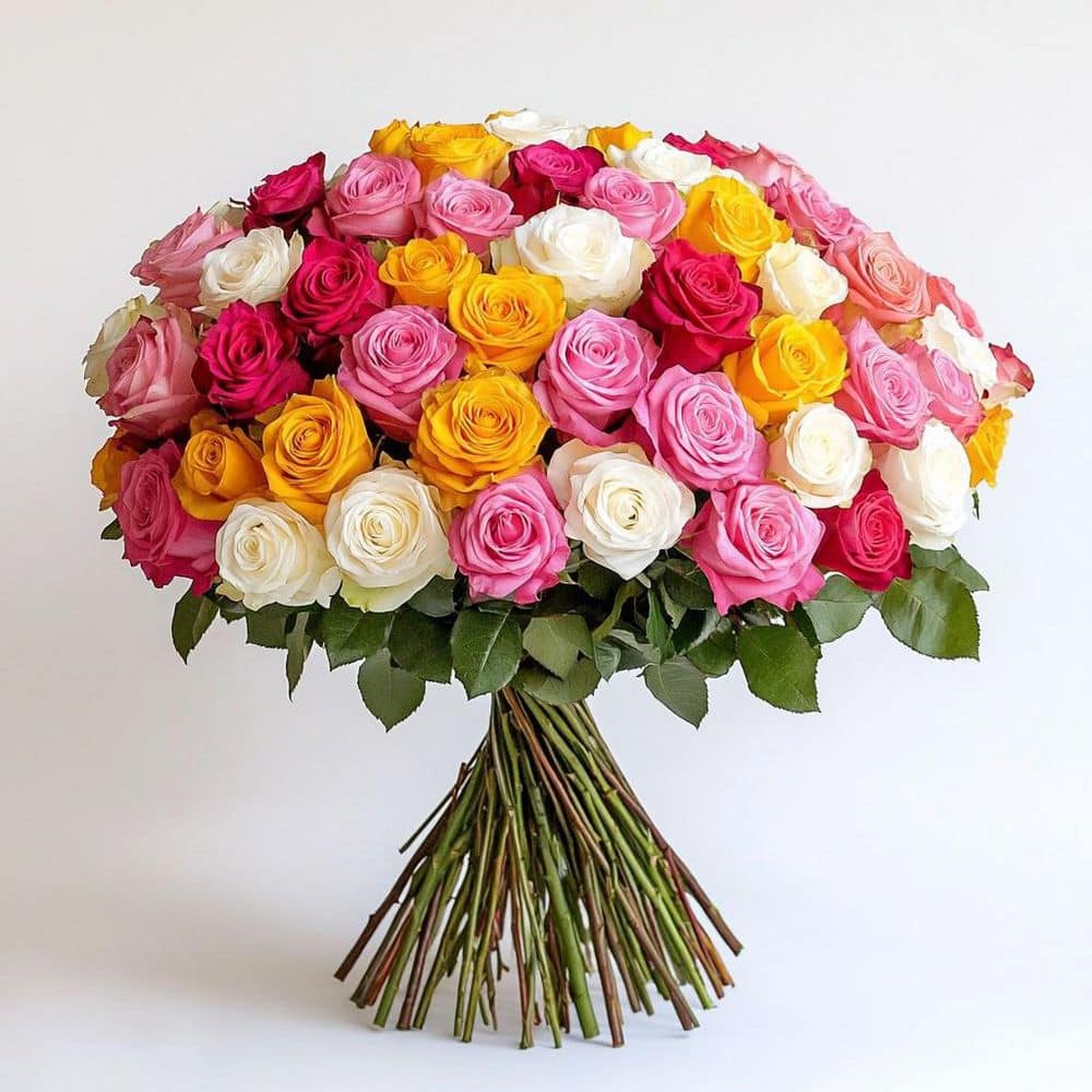 Globalrose Fresh Assorted Color - Valentine's Day Roses (100 Stems) 100 ...
