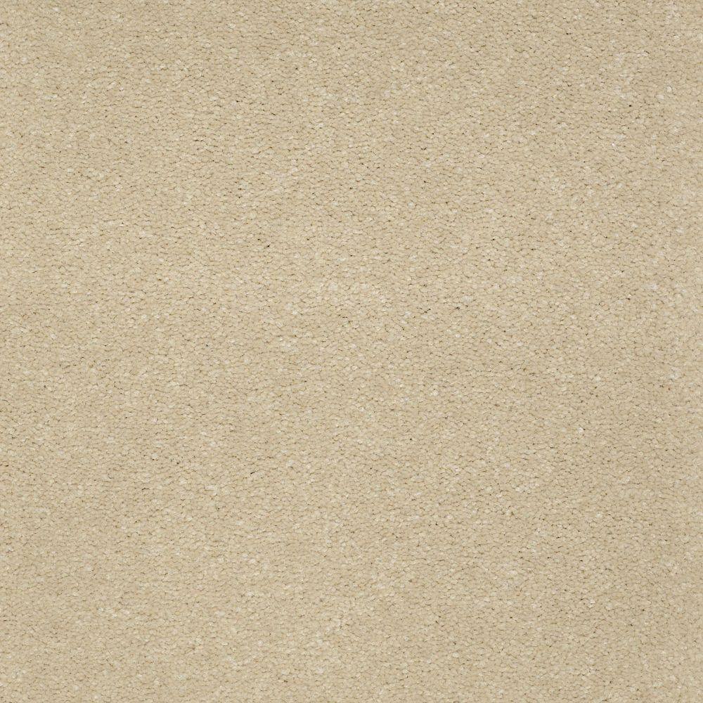 TrafficMaster Overdrive I - Color River Reed Texture 12 ft. Carpet ...