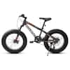 20 in. Fat Tire Outdoor 7 Speed Mountain Bike with Dual DiscBrake, High ...